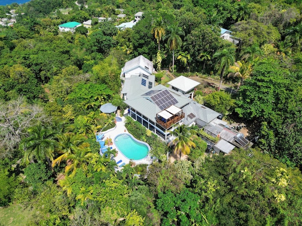 Lf Jungle Retreat - Port Antonio