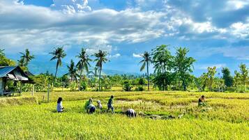 Vista da propriedade