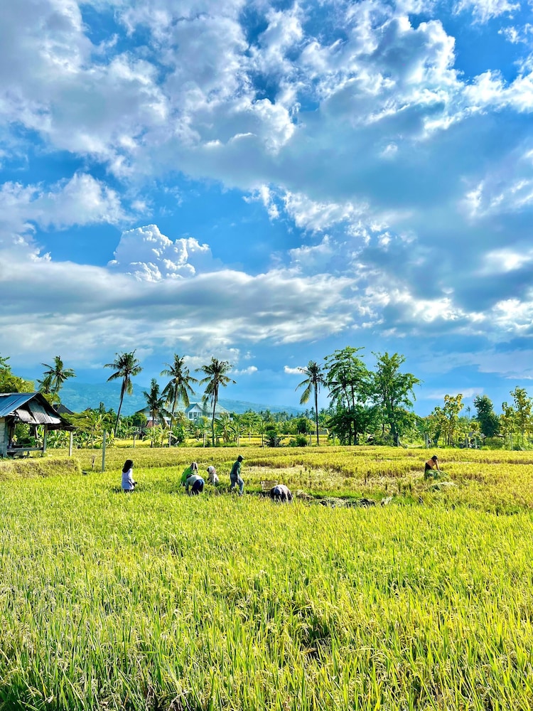 Mumbul Guesthouse - Bali