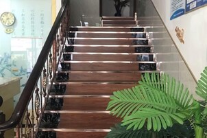 Escada com acabamento em preto e madeira, corrimão de metal e planta verde na base.