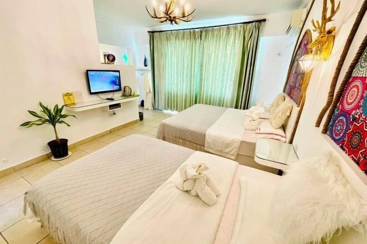 Quarto de hotel com duas camas, televisão, planta e cabeceira decorativa.