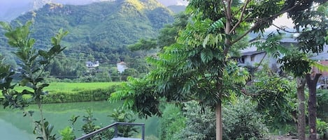 Pátio interior