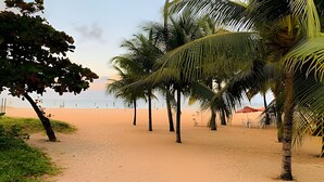 Uma praia com palmeiras e céu claro.