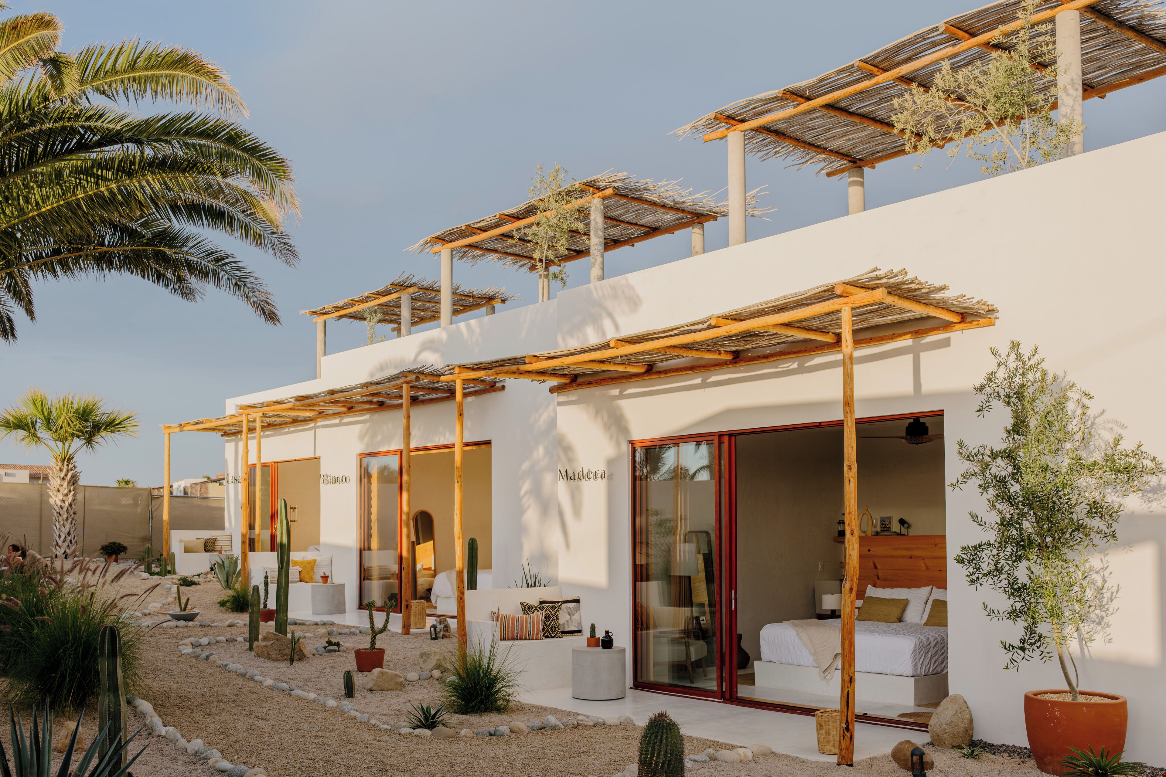 Um hotel moderno com áreas de estar ao ar livre, um jardim com cactos e uma grande planta em vaso.