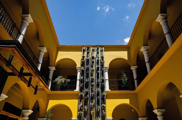 Casona Oaxaca Historia Y Paz - Oaxaca