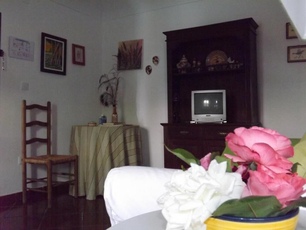 Quarto com cama, cadeira de madeira, mesinha com toalha listrada, televisão em um móvel e um vaso com flores.