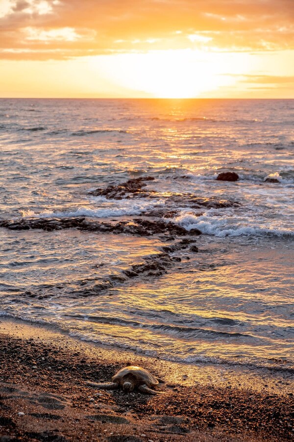 Sandy Toes Getaway In Kona - Kahalu’u Beach Park