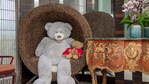 Quarto com uma grande cadeira redonda de vime, um urso de pelúcia sentado nela, um armário de madeira com detalhes entalhados e uma orquídea em vaso sobre uma mesa.