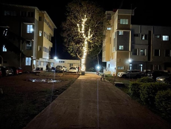 Naksha Tree Hotels - Yelagiri - Yelagiri