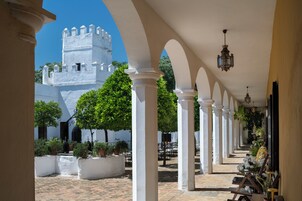 Terraço/pátio interior