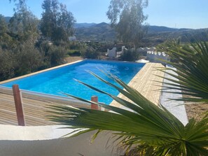 Piscina retangular com deck de madeira e uma palmeira em primeiro plano.