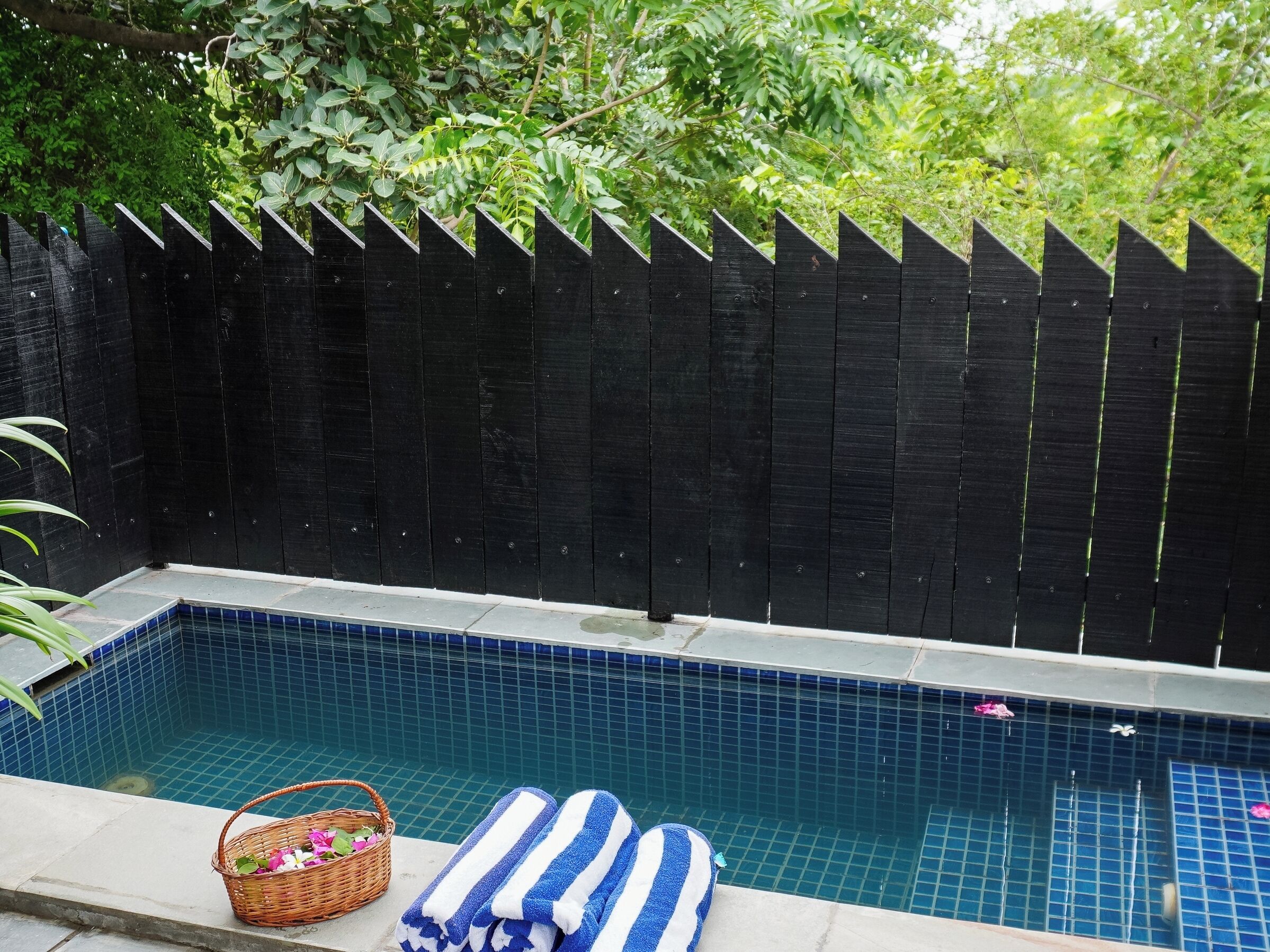 Piscina com cerca preta, borda de azulejos e cesta com flores.