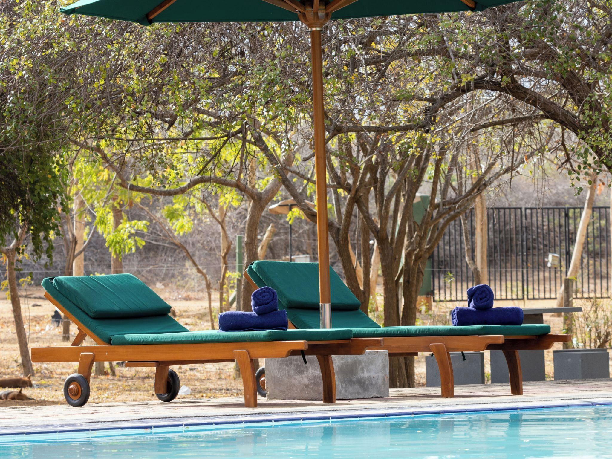 Uma área na beira da piscina com duas espreguiçadeiras, um guarda-sol verde e a piscina.