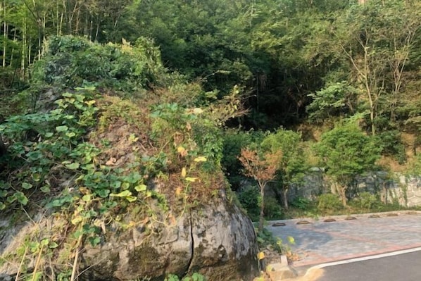 Vista da propriedade