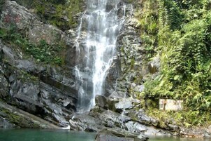 Uma cascata desce por um penhasco rochoso, caindo em um corpo d'água rodeado por vegetação densa.