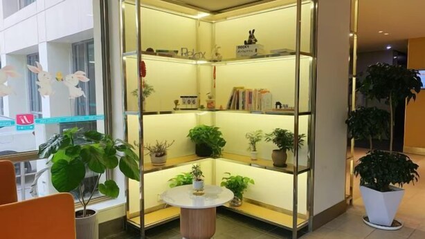 Uma área de recepção em canto, com uma vitrine de vidro que exibe livros e objetos decorativos, rodeada por plantas em vasos e uma pequena mesa.