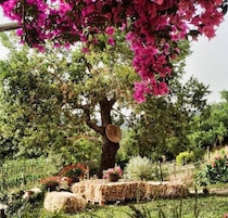 Terrenos do alojamento