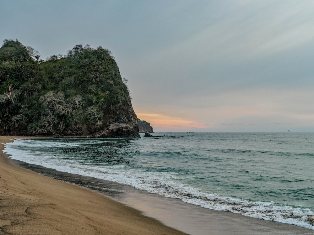 Rosewood Mandarina - Nayarit