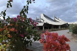 Terrenos do alojamento