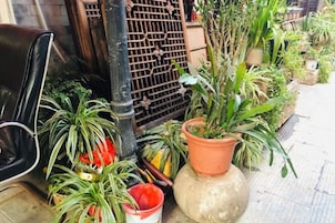 Diversas plantas em vasos e uma cadeira em frente a um edifício.
