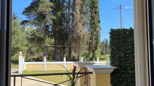 Varanda com mesa, duas cadeiras, um vaso de planta e vista para árvores e um muro branco.
