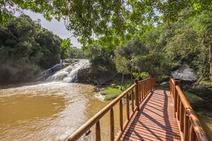 Uma ponte de madeira sobre um rio com cachoeira, cercada por vegetação exuberante.