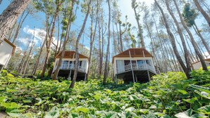 Duas cabanas com varandas, rodeadas por árvores altas e vegetação exuberante.