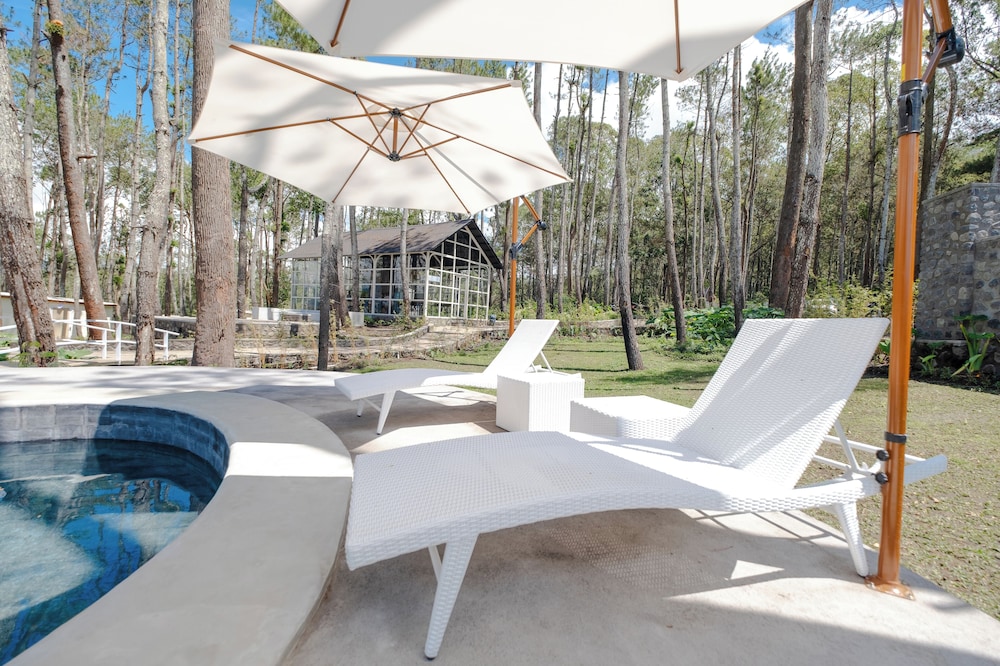 La Pino Mount Batur And Hot Spring - Bali