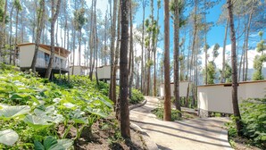 Um resort com caminhos arborizados e diversas acomodações em estilo bangalô.
