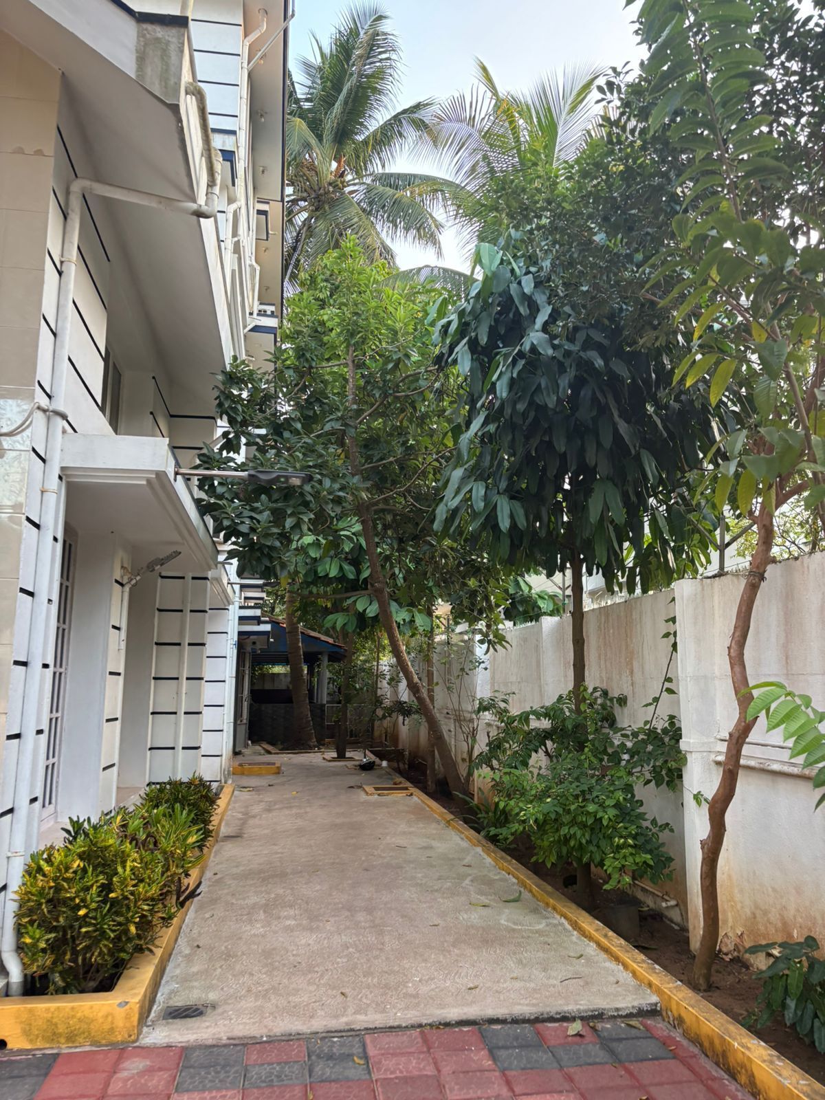 Um caminho estreito ladeado por vegetação exuberante e um edifício branco com varanda.