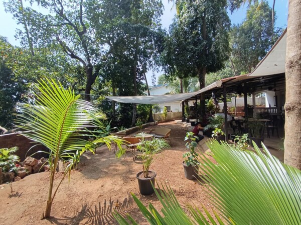 Jangala Resort - Anjuna
