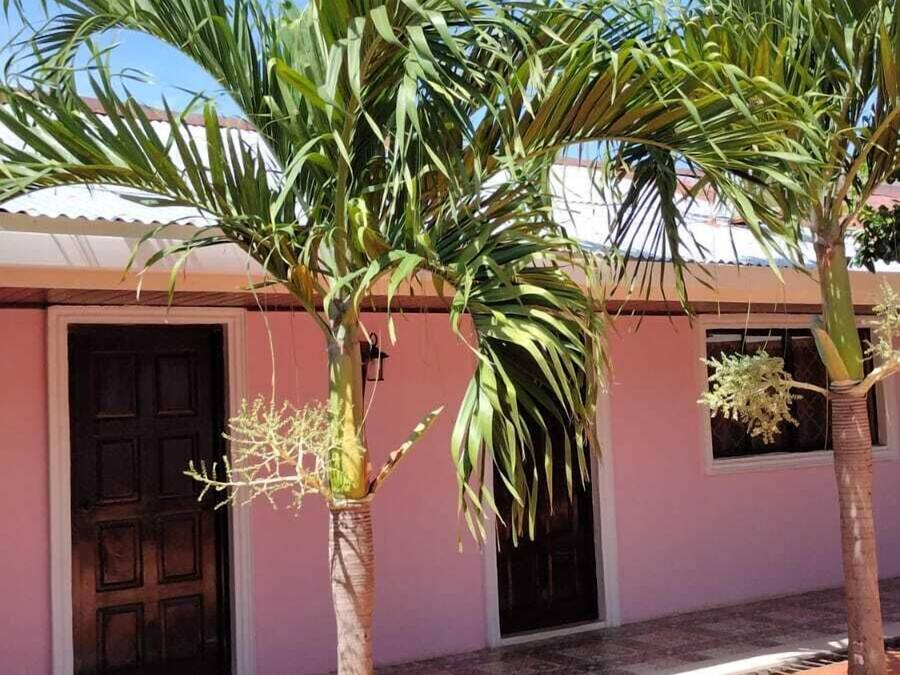 Terraço/pátio interior