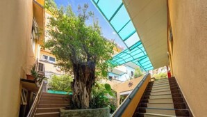 Uma escadaria com uma árvore no centro, rodeada por edifícios.