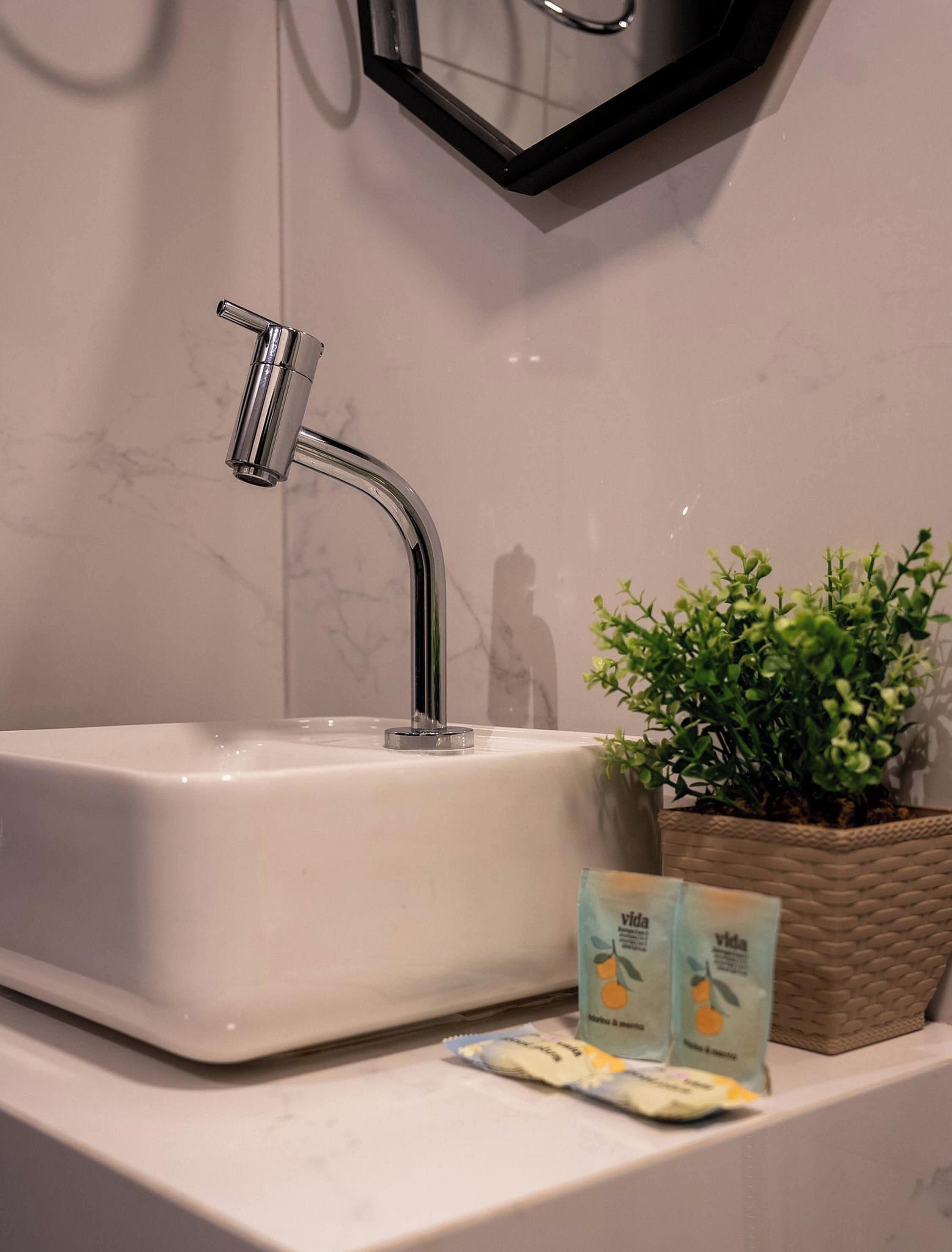 Casa de banho com lavatório branco, torneira cromada, uma planta em vaso e dois frascos de produtos de higiene pessoal.