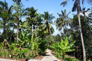 Entrada da propriedade