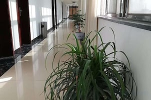 Um corredor com uma planta em vaso, uma lixeira e uma janela.