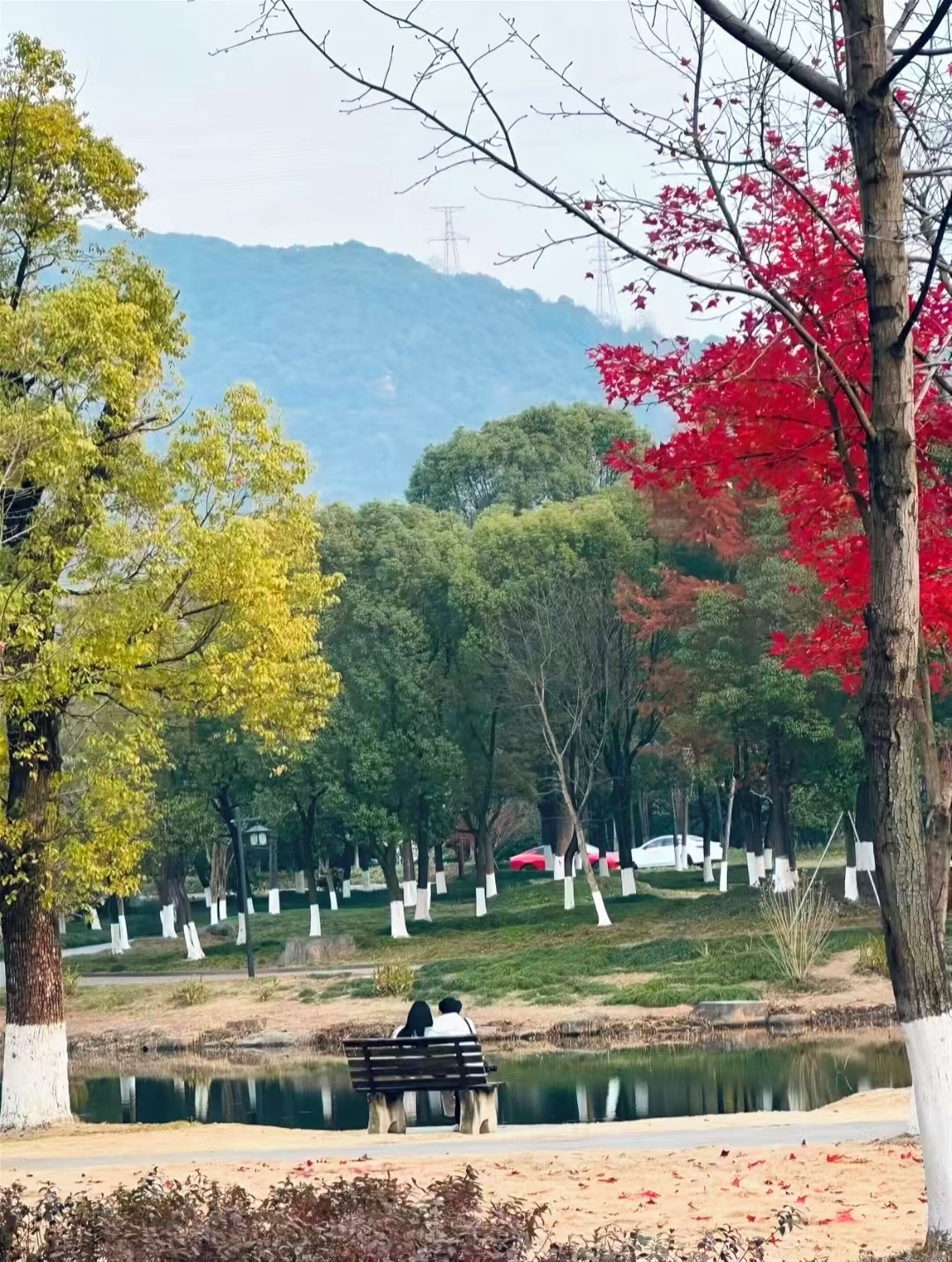 Um parque com lago, árvores com folhas de outono e um banco.