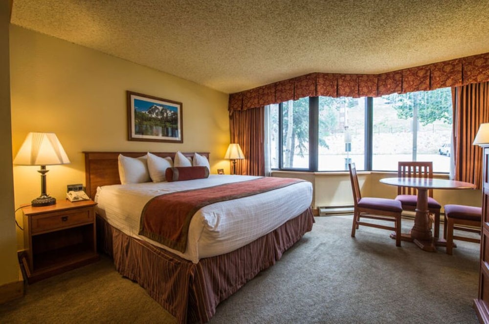 Pet-friendly Studio, Kitchenette | Prime Location - Crested Butte, CO