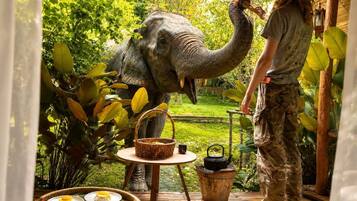 Uma pessoa em frente a uma grande estátua de elefante em um jardim, com uma mesa e comidas.