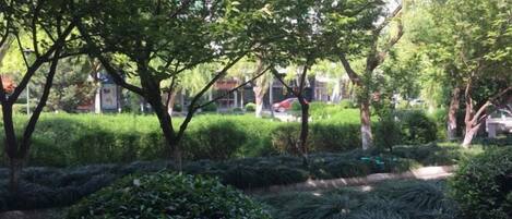 Terrenos do alojamento