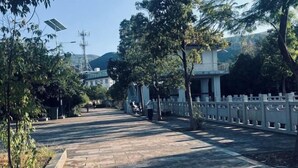 Uma passarela pavimentada com árvores e um muro branco, que leva a um edifício com varanda.