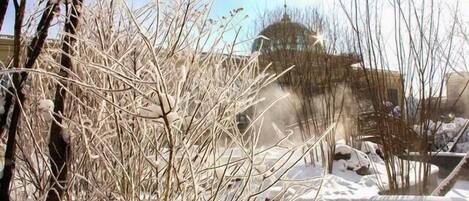 Terrenos do alojamento