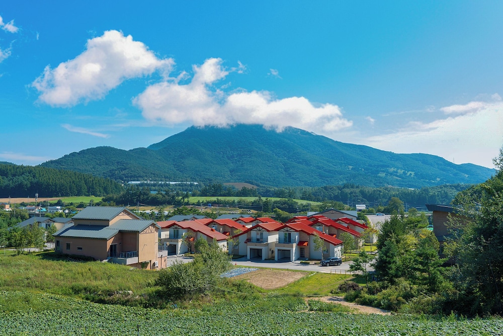 르꼼떼블루 - 강릉시