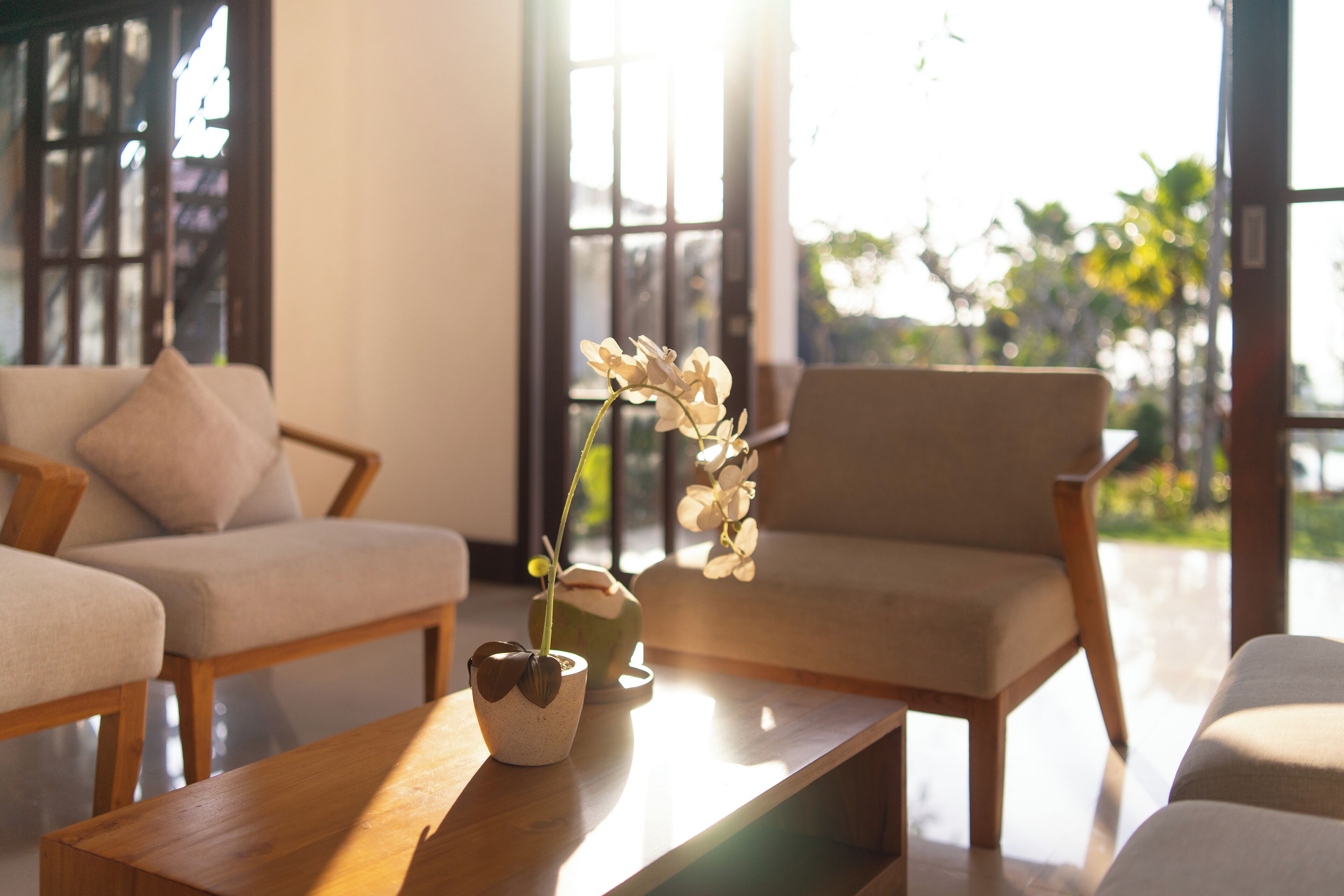 Uma sala de estar moderna com uma mesa de centro de madeira, duas poltronas bege e uma orquídea em vaso.