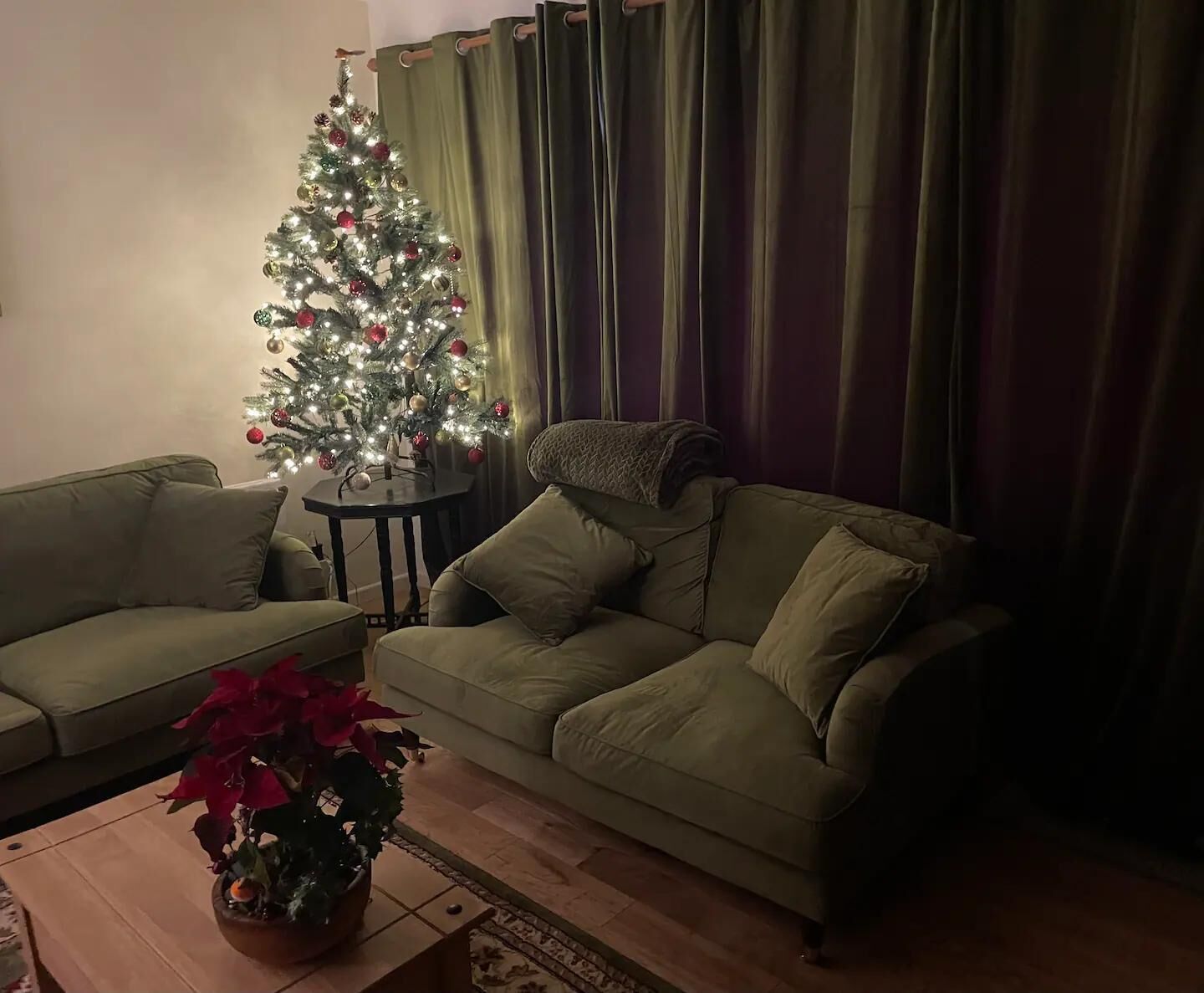 Uma sala de estar com um sofá verde, uma mesa pequena com uma planta em vaso e um pinheiro de Natal com luzes.