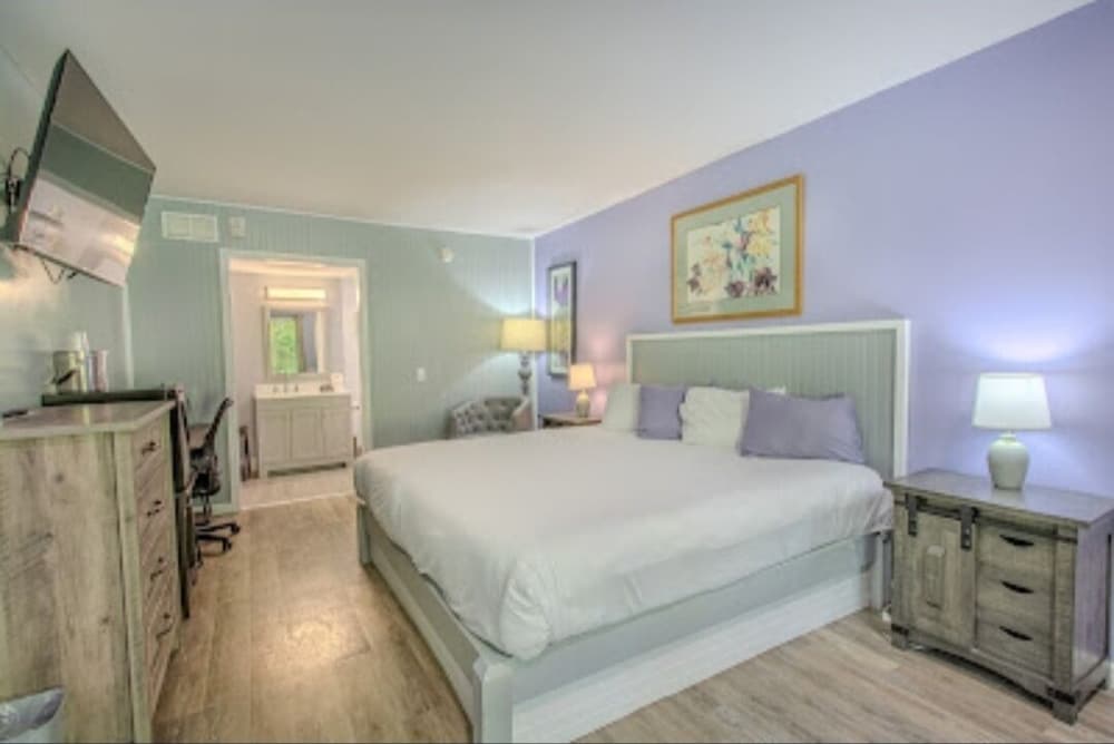 Blue Sky Inn - Ellijay, GA