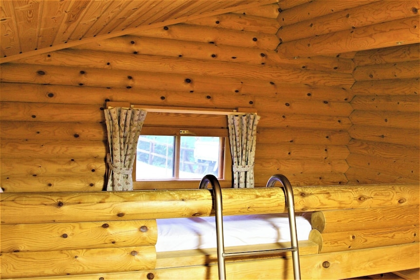 Terrace Cottage Plan / Hanno City Saitama - Japão