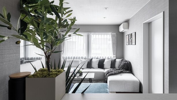 Uma sala de estar moderna com um sofá seccional, uma mesa de centro e uma planta grande.