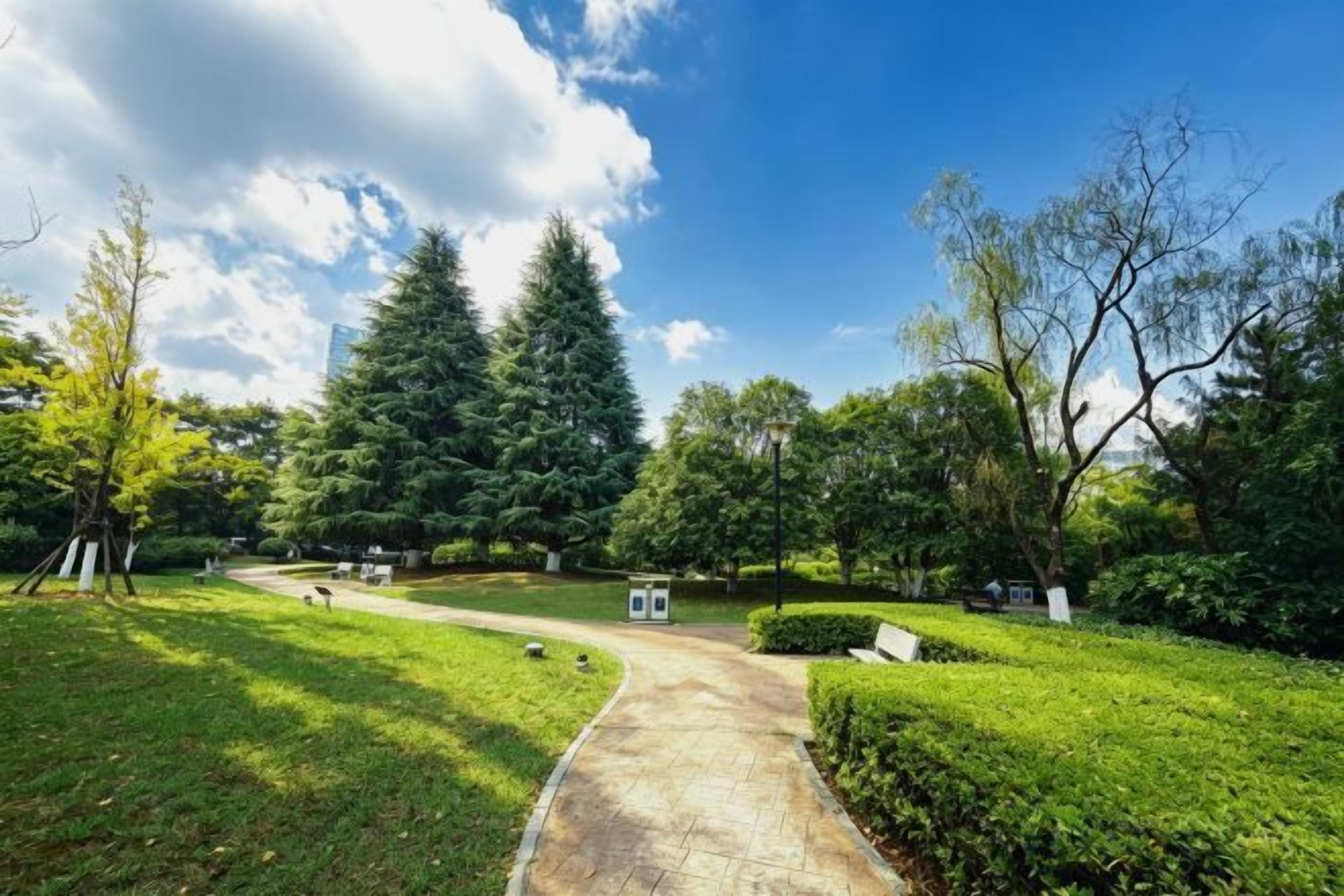 Um parque com calçada pavimentada, árvores e céu claro.