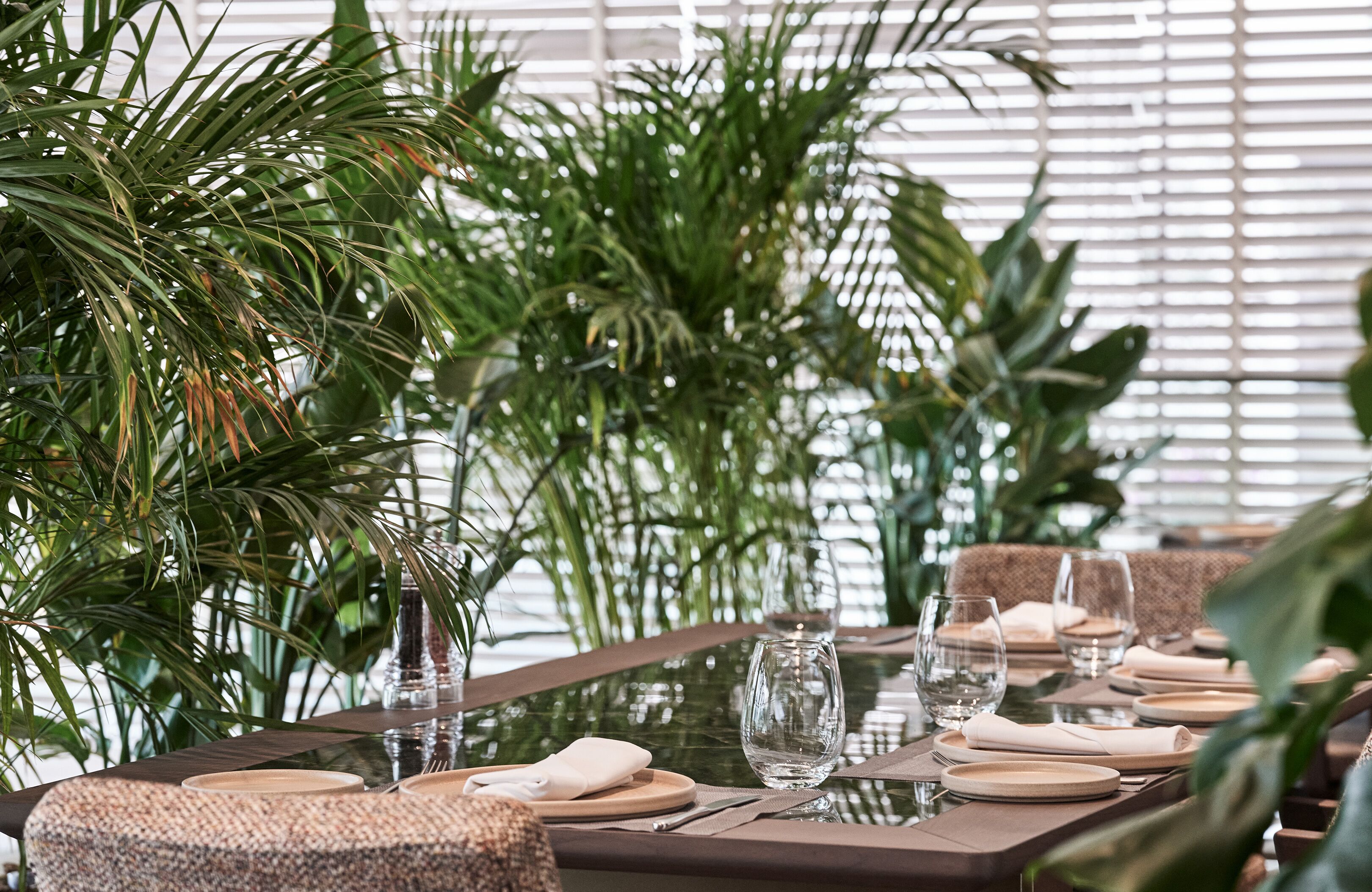 Mesa de jantar posta com pratos, copos e talheres, rodeada por plantas verdes exuberantes.
